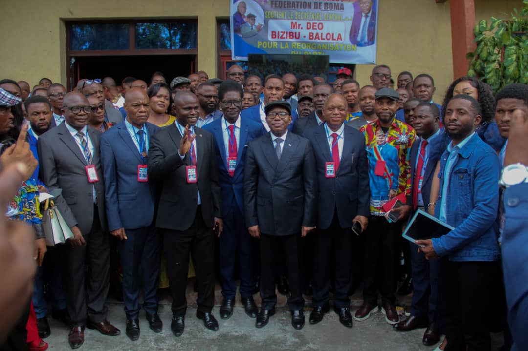 Révision ou changement de la Constitution : UDPS en journées de ...